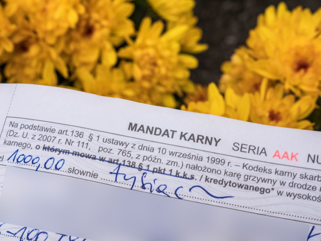 Trzy mandaty w dzień. Handlujący kwiatami na celowniku KAS - Agropolska